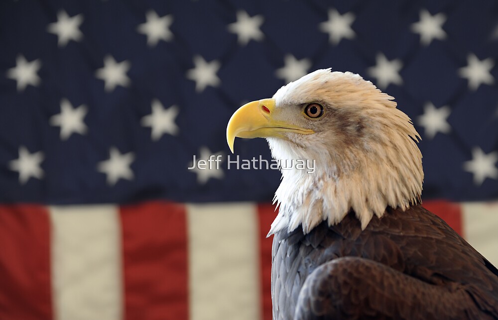 Us Flag With Bald Eagle Plaque