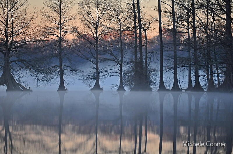 "Morning Line Up" by Michele Conner | Redbubble