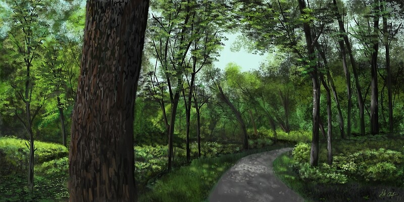 "Shaded Bike Path" by DSC Arts | Redbubble