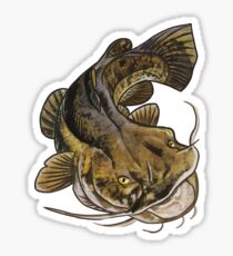 Catfish Stickers | Redbubble