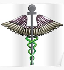 Hippocratic Oath Posters | Redbubble