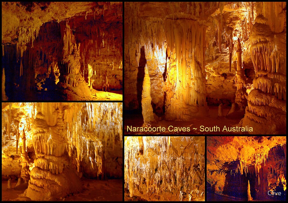 "Naracoorte Caves National Park" by Clive | Redbubble