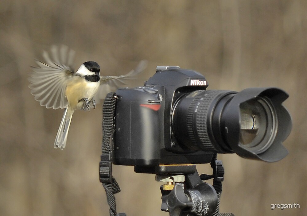 "Bird Photographer" by gregsmith | Redbubble
