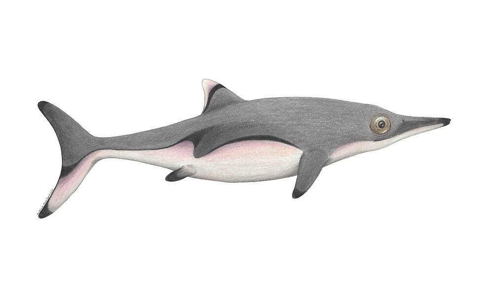 "Neonate Ichthyosaurus communis" by JulianPalaeoART | Redbubble
