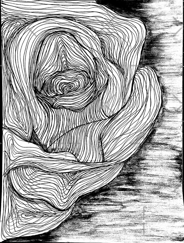 "Grudge Rose" by Lilnula | Redbubble