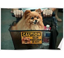 "Beware" by terrebo | Redbubble