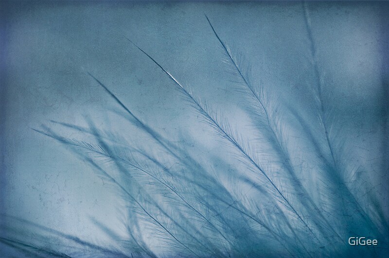 "Blue Feather Grass" by GiGee | Redbubble