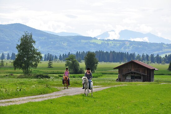 Eastern German Countryside