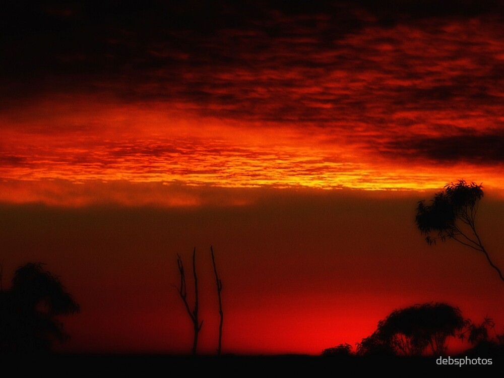 ""Pre-dawn Sky"" by debsphotos | Redbubble