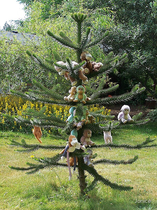 "The Monkey Tree" by Jonice | Redbubble