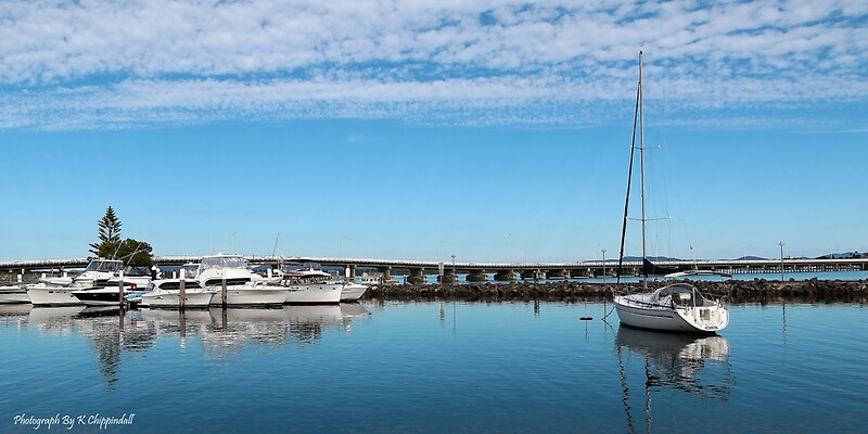 "Forster Marina 9867" by kevin Chippindall | Redbubble