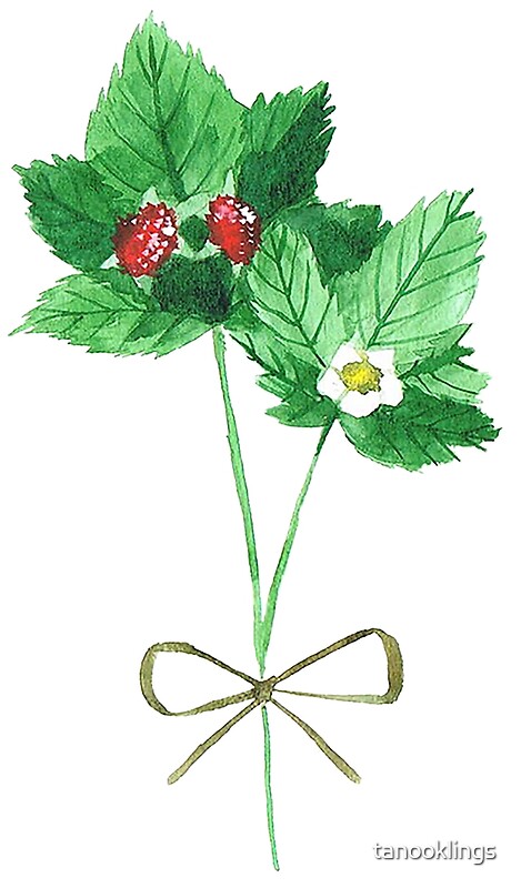 "Thimbleberries of the Upper Peninsula of Michigan" by tanooklings ...