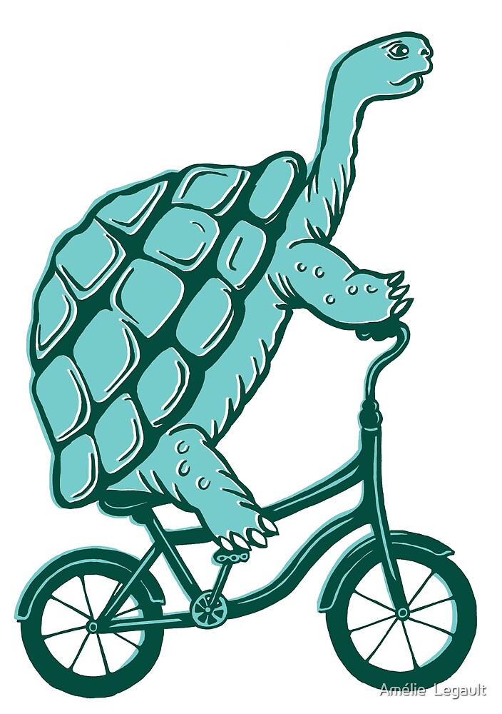"Turtle on bike" by Amélie Legault | Redbubble
