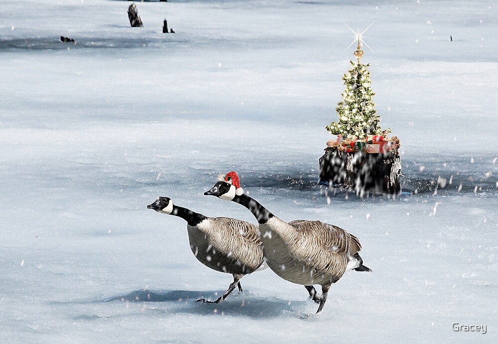 "Christmas Geese" by Gracey | Redbubble