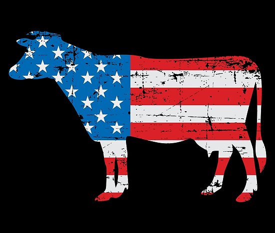 "Cow Appreciation American Flag Funny Design" Poster by pbng80 | Redbubble