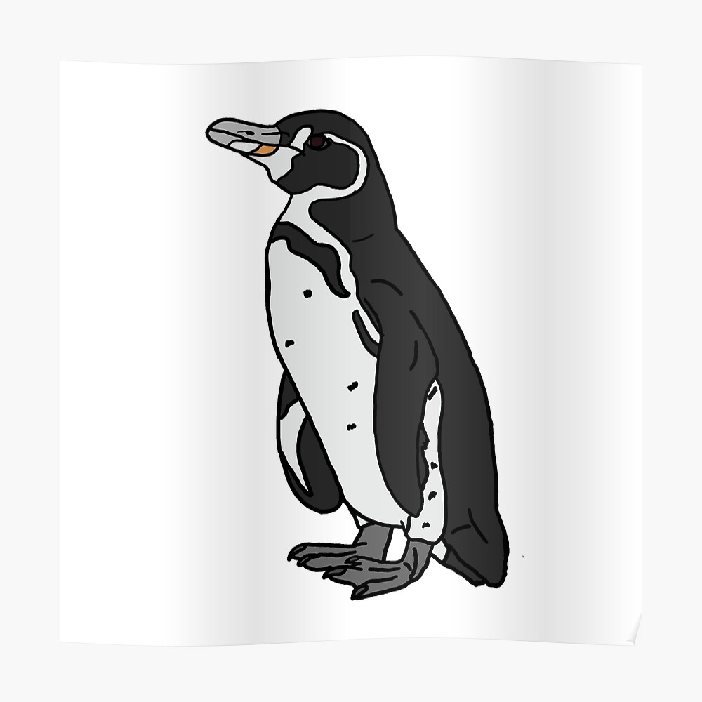 "Galapagos Penguin" Poster by GraceT26 | Redbubble