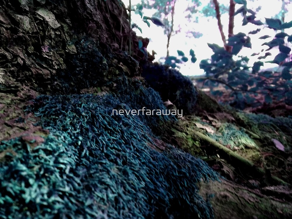 "Summer Moss Teal" by neverfaraway | Redbubble