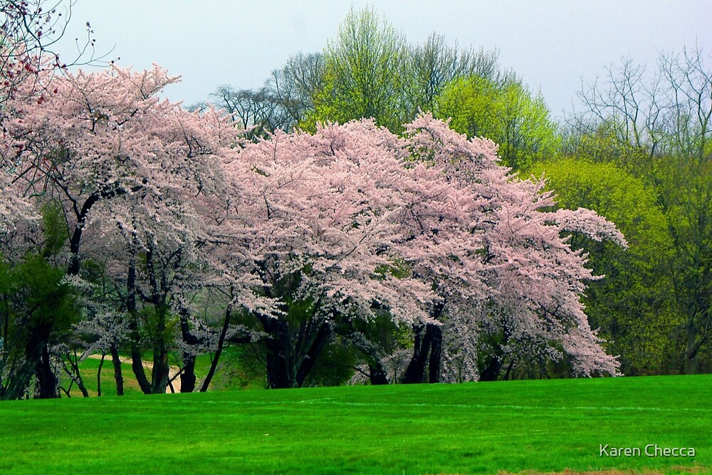 "Springtime in New York" by Karen Checca | Redbubble