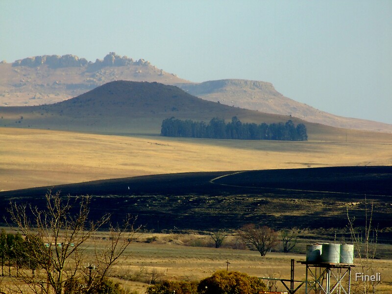 "Passing clouds over a Highveld landscape" by Fineli | Redbubble