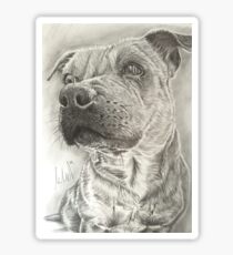 Staffy: Stickers | Redbubble