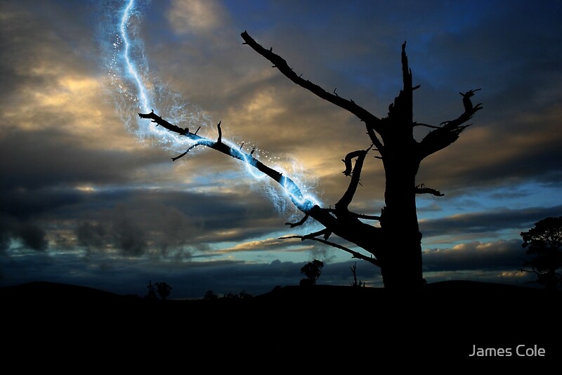 "Plasma Tree" by James Cole | Redbubble