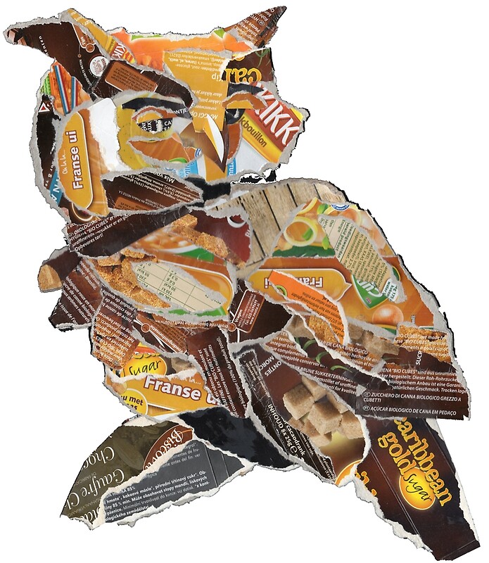 "Torn owl" by Ruud van Koningsbrugge | Redbubble