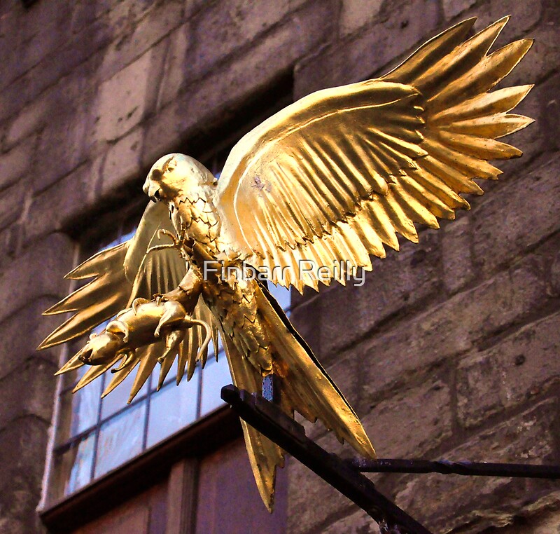 "The "Gled" or Hawk that Symbolised the Gledstanes Family" by Finbarr ...