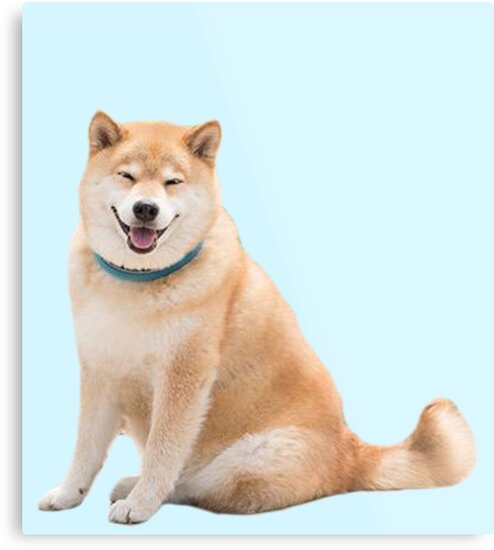 "Happy Shibe" Metal Print by Elisecv | Redbubble
