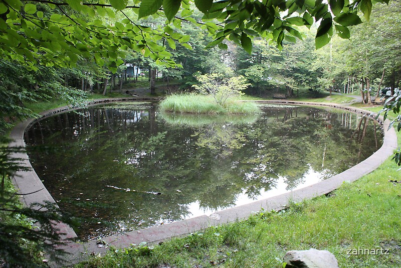 "Heart-shaped Pond" by zahnartz | Redbubble
