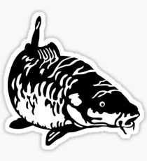 Carp Fishing Stickers | Redbubble