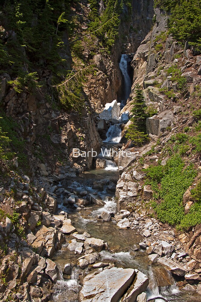 "Myrtle Falls, Mt. Rainier National Park" by Barb White | Redbubble