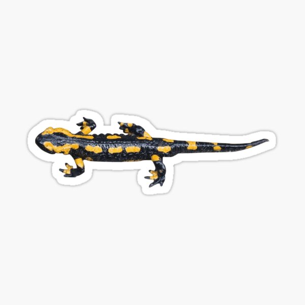 Salamander Stickers | Redbubble