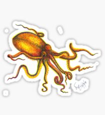 Octopus Stickers | Redbubble