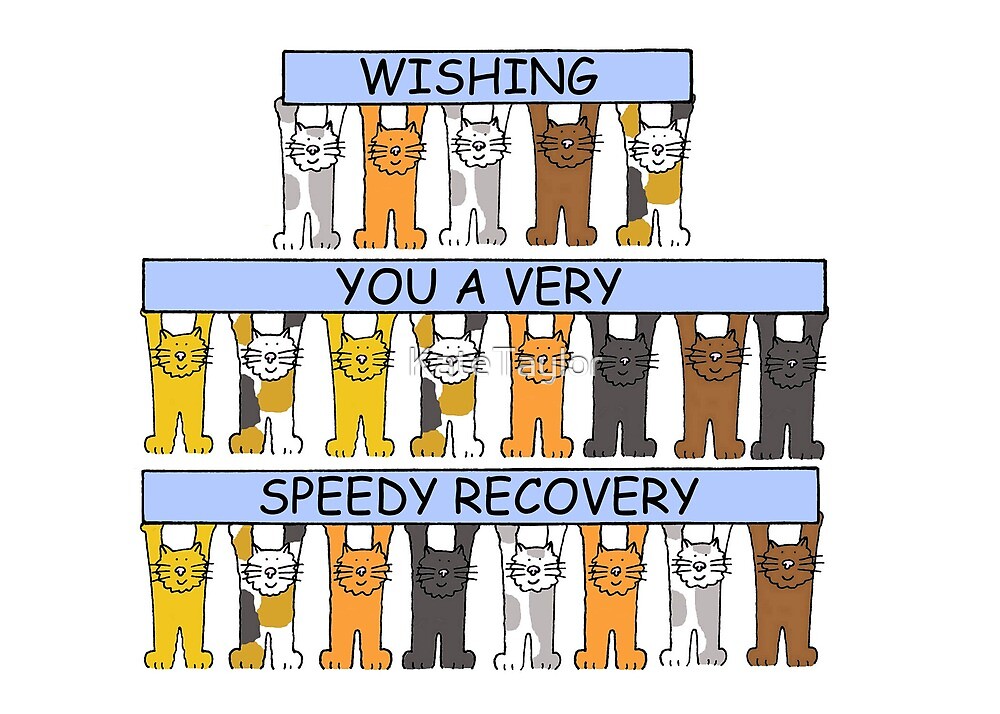 "Speedy Recovery Cute Cartoon Cats Holding Banners" by KateTaylor ...