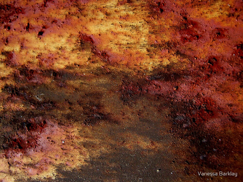 "The Colour of Rust" by Vanessa Barklay | Redbubble