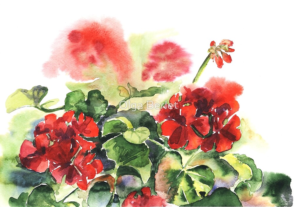 "plant geranium, flowers and leaves, watercolor" by Olga Berlet | Redbubble