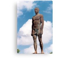 "Statue of chief Quipuha" by Hiroshi Maeshiro | Redbubble