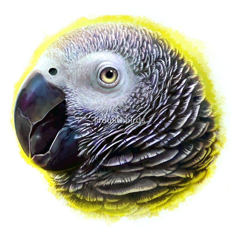 "African grey parrot realistic painting" by lifewithbirds | Redbubble