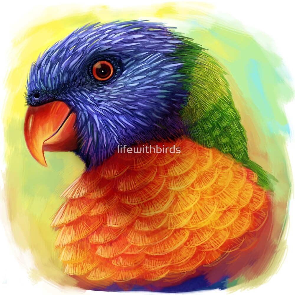 "Rainbow lorikeet realistic painting" by lifewithbirds | Redbubble