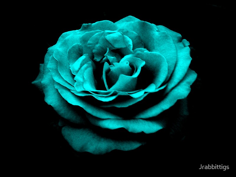 "Refreshed - Turquoise Rose" by Jrabbittigs | Redbubble