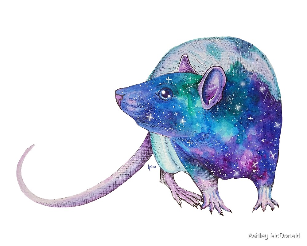 "Galaxy Hooded Rat" by Ashley McDonald | Redbubble
