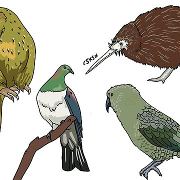 "New Zealand Native Birds" Poster for Sale by samkstephens | Redbubble