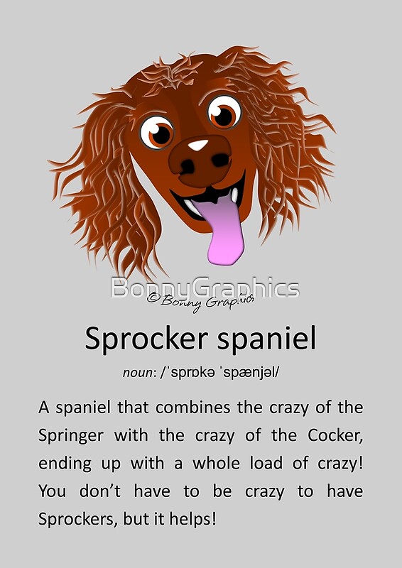 "Sprocker spaniel defined!" by BonnyGraphics | Redbubble