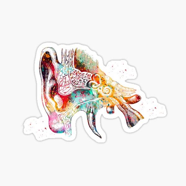 Audiology Stickers | Redbubble