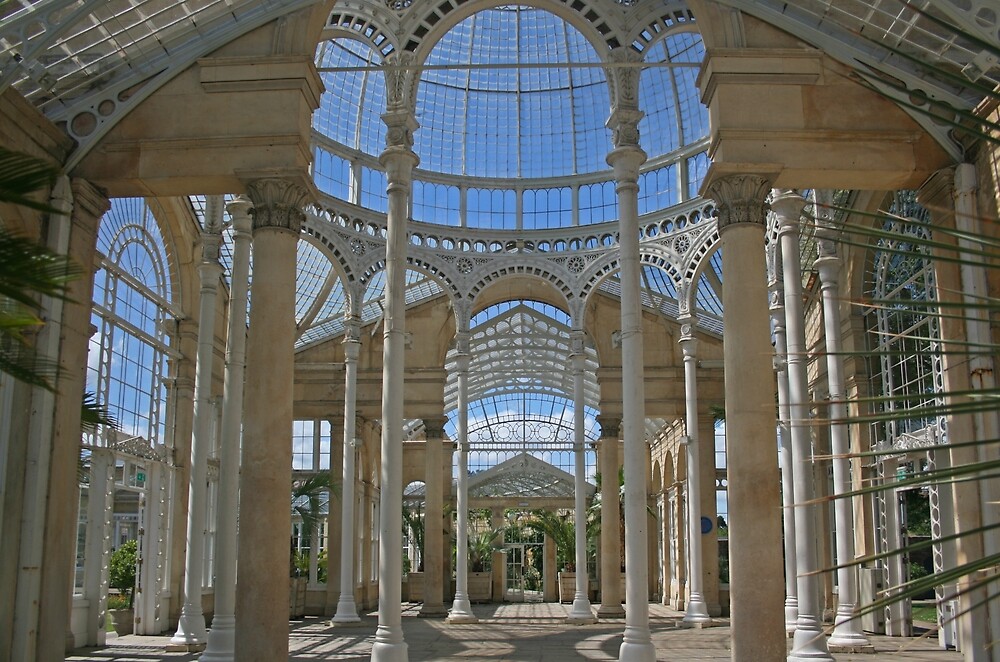"Inside the Great Conservatory, Syon Park" by RedHillDigital | Redbubble
