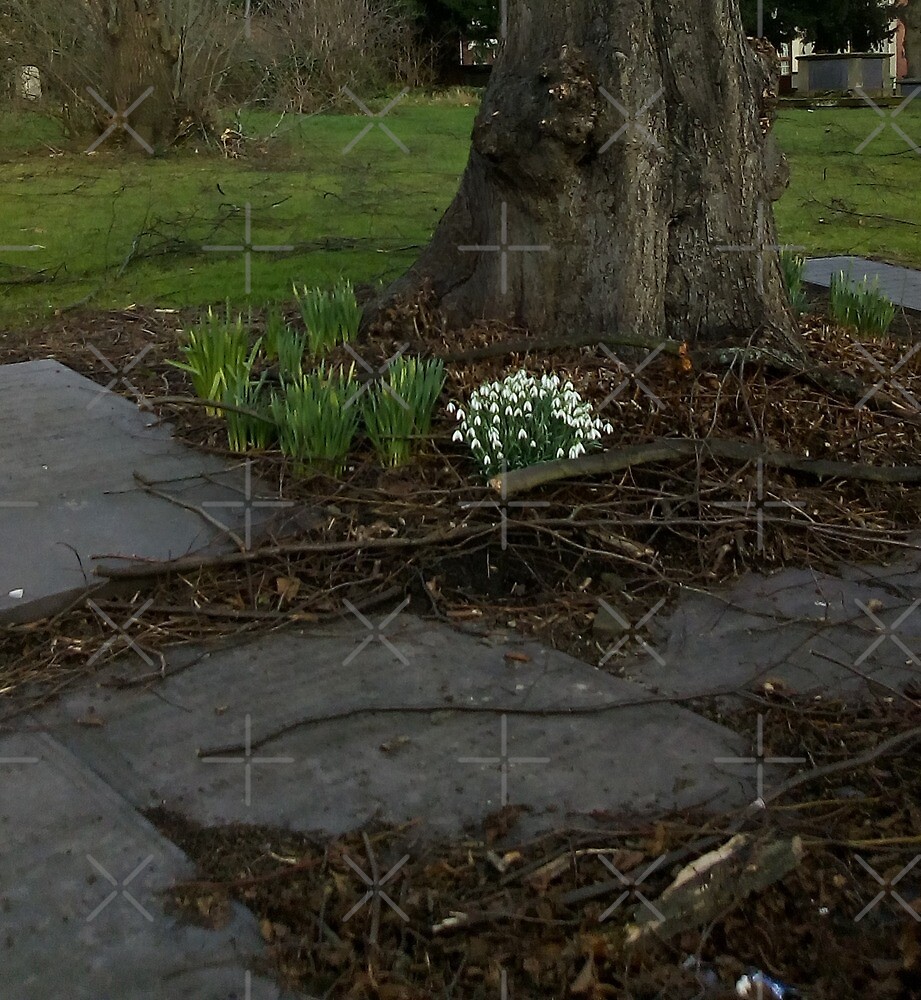 "Volksbolts/KABFA Designs, St Nicolas Church Nuneaton fallen graves ...