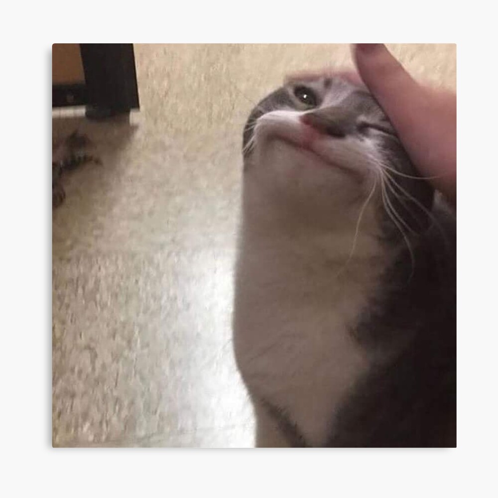 "Polite Cat Meme 2.0 - The Wrath of Polite" Canvas Print by b3nny ...