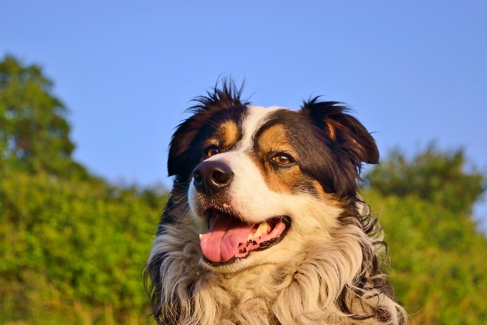 "Enjoy." by Michael Haslam | Redbubble