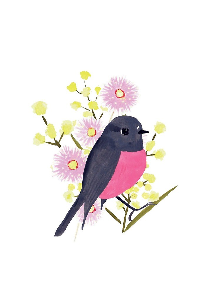 "Pink Robin" by AlyceAnn | Redbubble