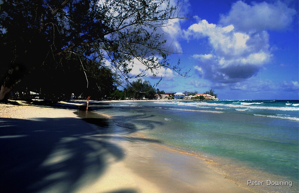 "Landscape Barbados Beach Scene" by Peter Downing | Redbubble